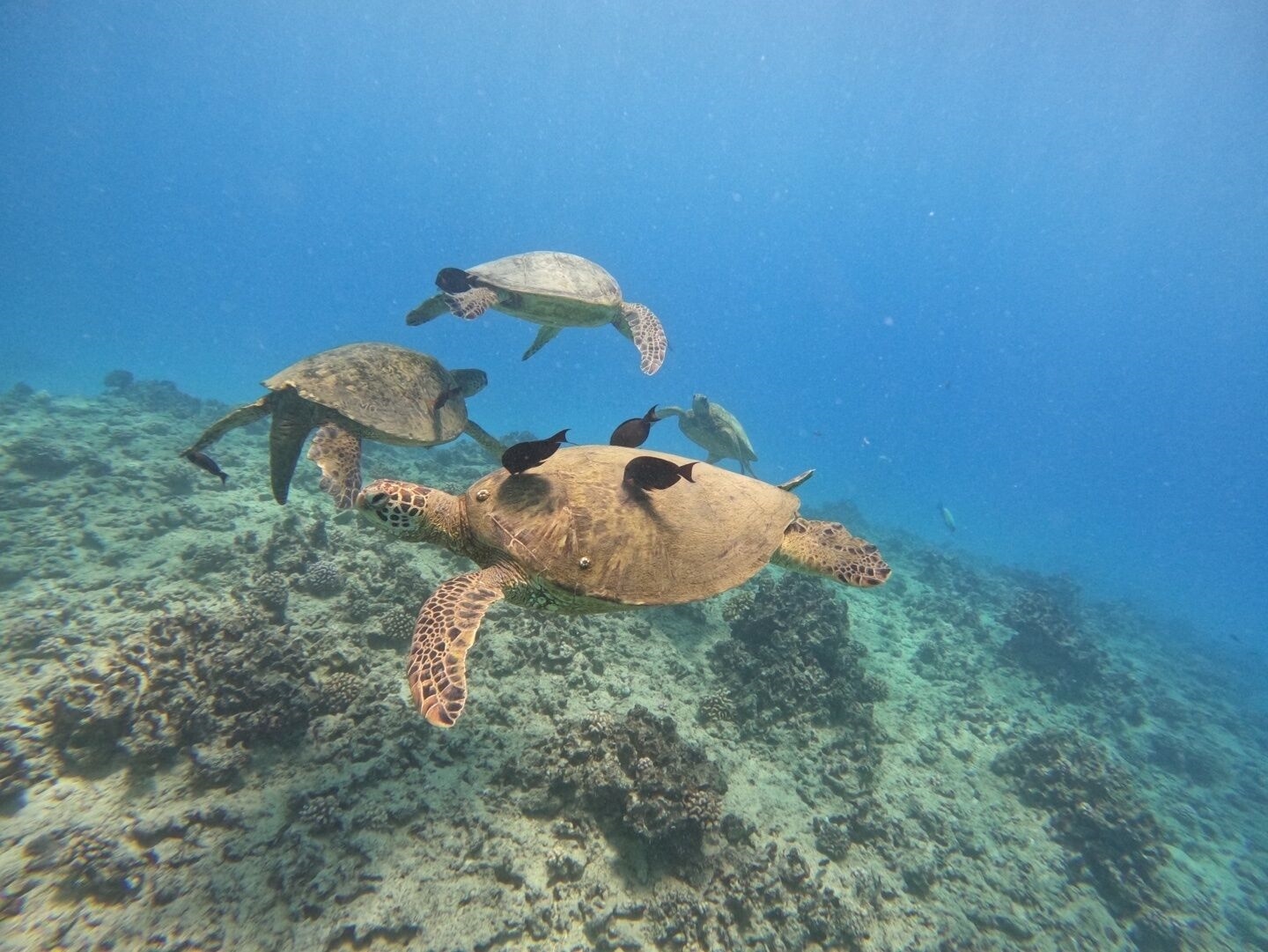 설레는 여행의 시작, with. Tamice