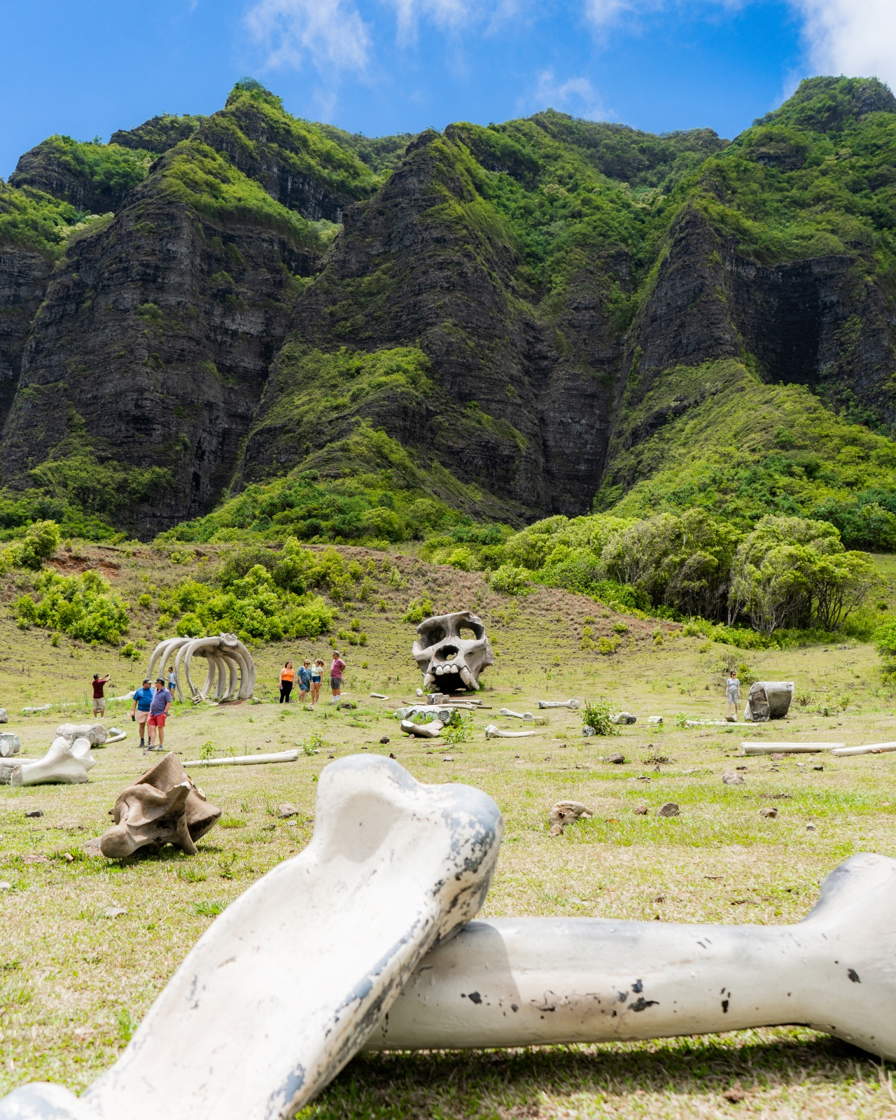 설레는 여행의 시작, with. Tamice