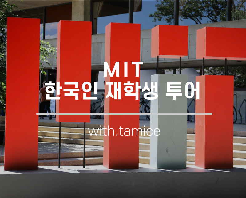 설레는 여행의 시작, with. Tamice